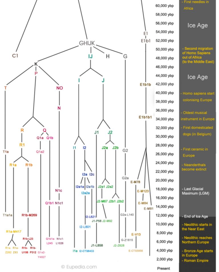 5000-Year Tree - Herriott Heritage Association